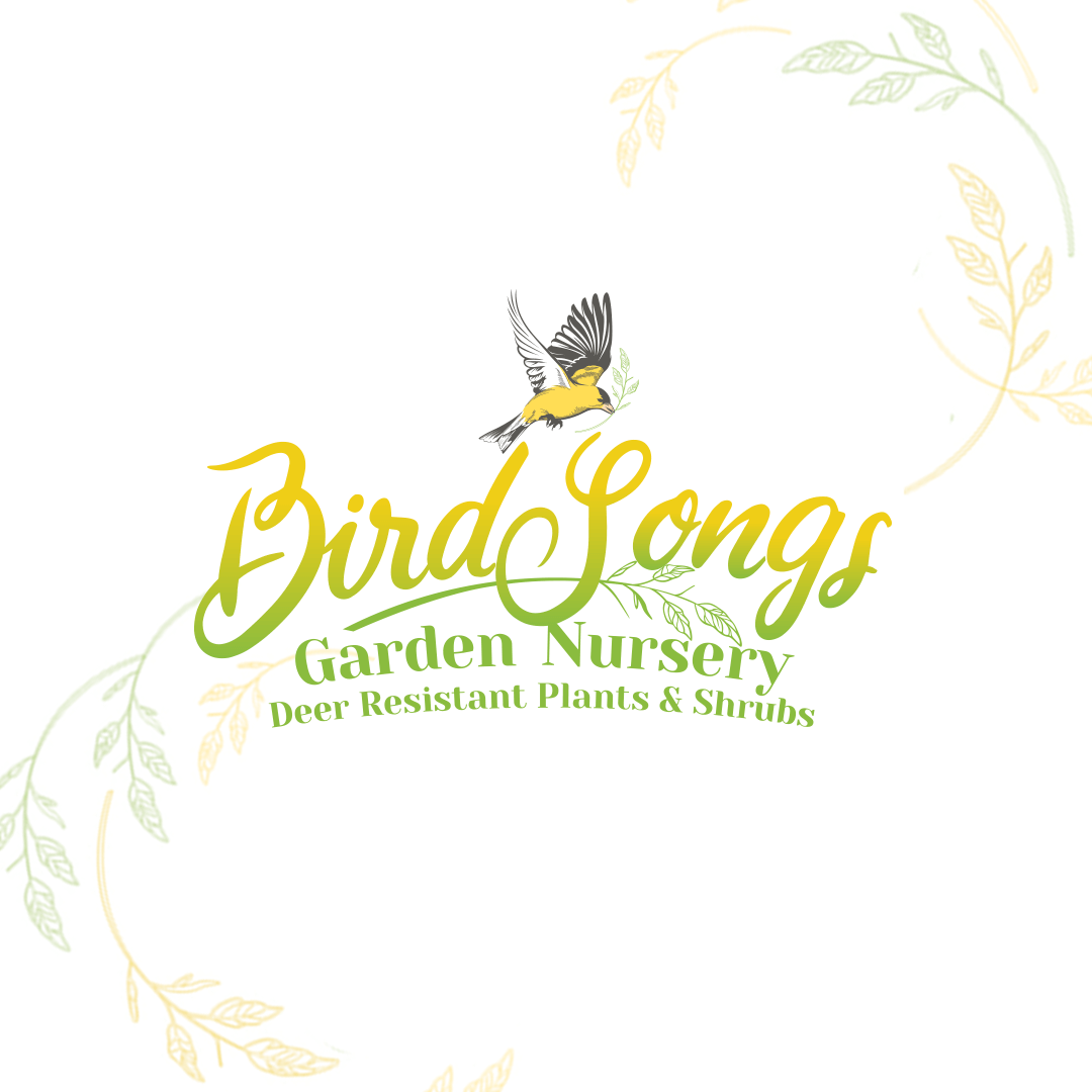 Brand Identity Design for Plant Nursery - DesignsbyEgesi